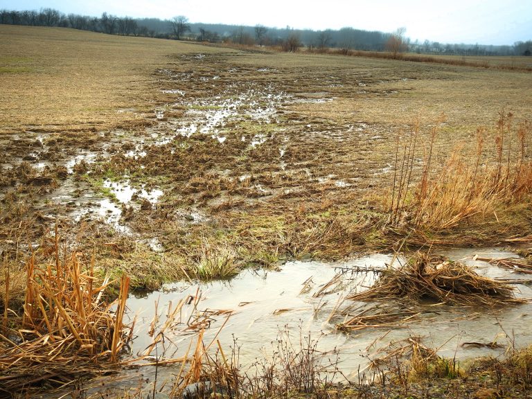 Stormwater & Runoff – WQMA